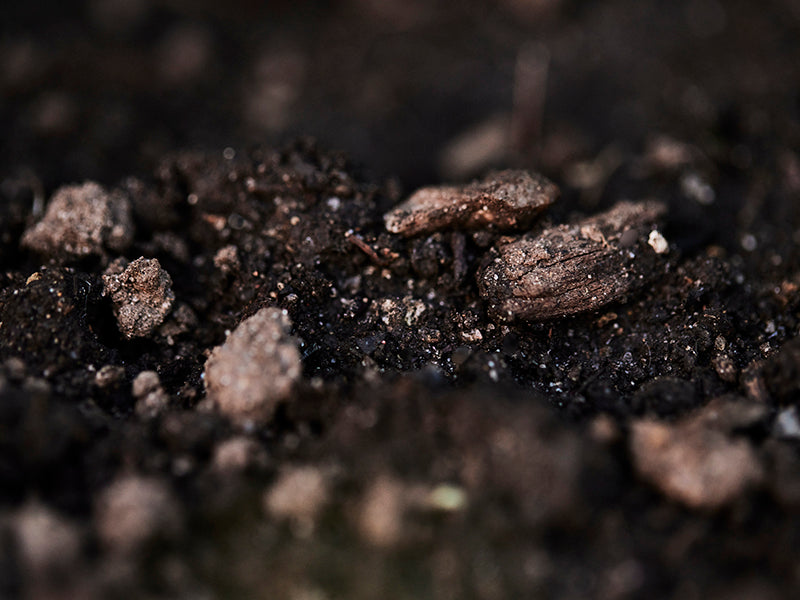 Spray + Balm - Motherline